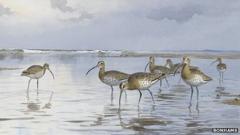 JC Harrison watercolours set for Bonhams' auction - BBC News