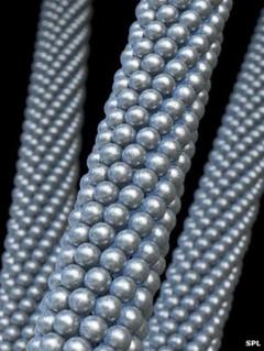 Carbon nanotubes fit by the thousands onto a chip - BBC News