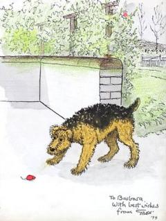 Rare Giles drawings up for auction - BBC News