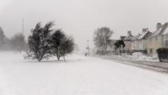 Your photos of the recent snow - BBC Weather