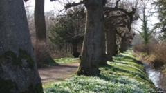 In pictures: Northern Ireland spring fire and winter ice - BBC News