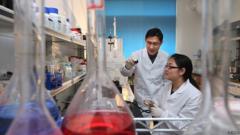 In pictures: Ultra-light material - BBC News