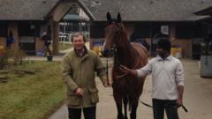 Newmarket: Photos of the gallops, racecourse and stud - BBC Sport