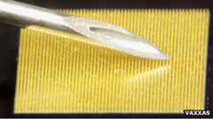 TEDGlobal: Future vaccines could be delivered via patch - BBC News