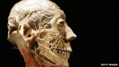 The living dead: new embalming method aids surgical training - BBC News