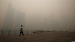 Day in pictures: 21 June 2013 - BBC News