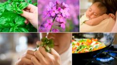 Taste and smell: What is it like to live without them? - BBC News
