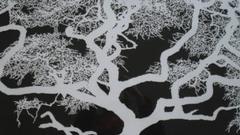 Emma Ryan's art to revamp Maidenhead subway - BBC News
