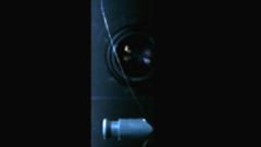 Limpet teeth set new strength record - BBC News