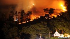 Grinshill Woods: More than 40 firefighters tackle blaze - BBC News