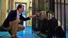 China to prosecute three over butchered panda - BBC News