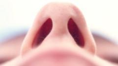 Humans sense 10 basic types of smell, scientists say - BBC News