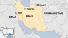 Amnesty urges Iran to spare hanging survivor's life - BBC News