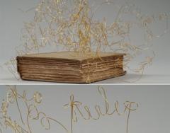 In pictures: The Library of Lost Books - BBC News