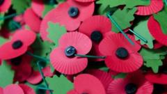Tricks to stop your poppy falling off - BBC News