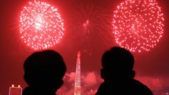 World welcomes 2014: In pictures - BBC News