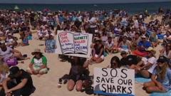 Can science stop sharks attacking humans? - BBC News