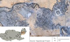 Earliest footprints outside Africa discovered in Norfolk - BBC News