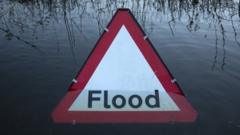 Blue lagoons and higher roads to curb flood threat? - BBC News