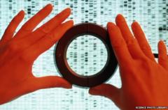 Iceland's DNA: The world's most precious genes? - BBC News