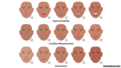 How facial features drive our first impressions - BBC News