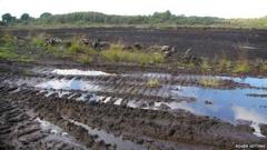 Lindow Man: Gruesome discovery who became 'international celebrity ...