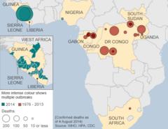 WHO: Ebola 'an international emergency' - BBC News