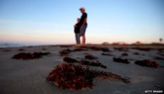 BP found 'grossly negligent' in 2010 Gulf oil spill - BBC News
