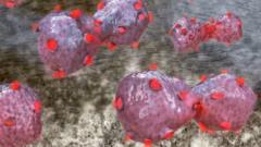 Berries in cancer therapy experiment - BBC News