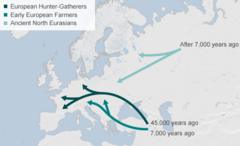 Europeans drawn from three ancient 'tribes' - BBC News