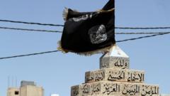 Islamic State: Where key countries stand - BBC News