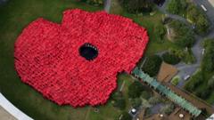 Giant poppy made by 1,400 GCHQ intelligence agency staff - BBC News