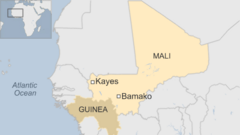 Ebola crisis: Mali confirms first infection case - BBC News