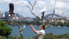 Your pictures: Australia - BBC News