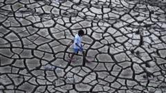 Geo-engineering: Climate fixes 'could harm billions' - BBC News