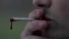 Is a complete ban on smoking next? - BBC News