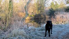 In pictures: Snowfall across Northern Ireland - BBC News
