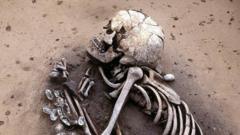 Ancient DNA sheds light on Irish origins - BBC News