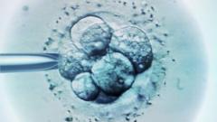 How has IVF developed since the first 'test-tube baby'? - BBC News