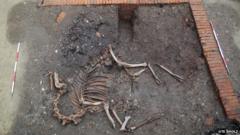 Intact Ottoman 'war camel' found in Austrian cellar - BBC News