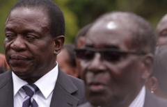 Robert Mugabe and the Crocodile - BBC News