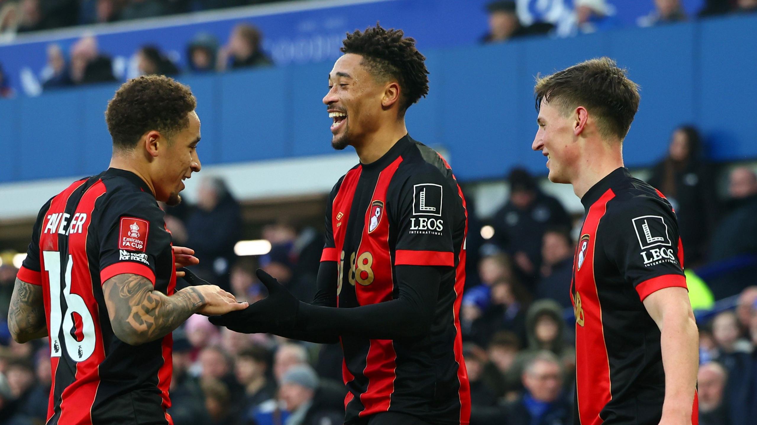 Bournemouth and the FA Cup: Fans say it's the best chance to win it ...
