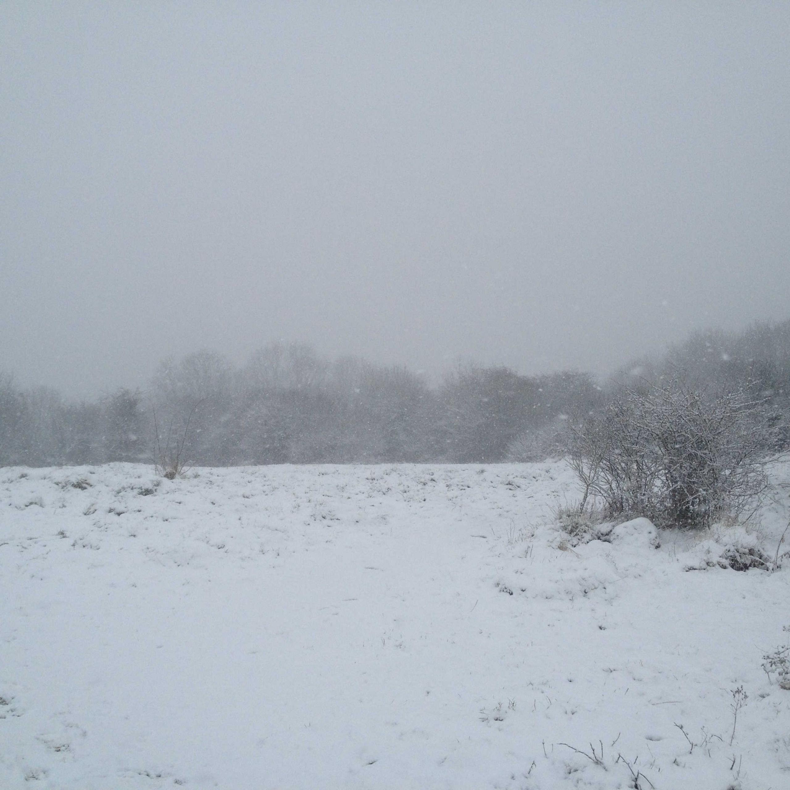 YOUR PICS: Have you had more snow? - BBC Newsround