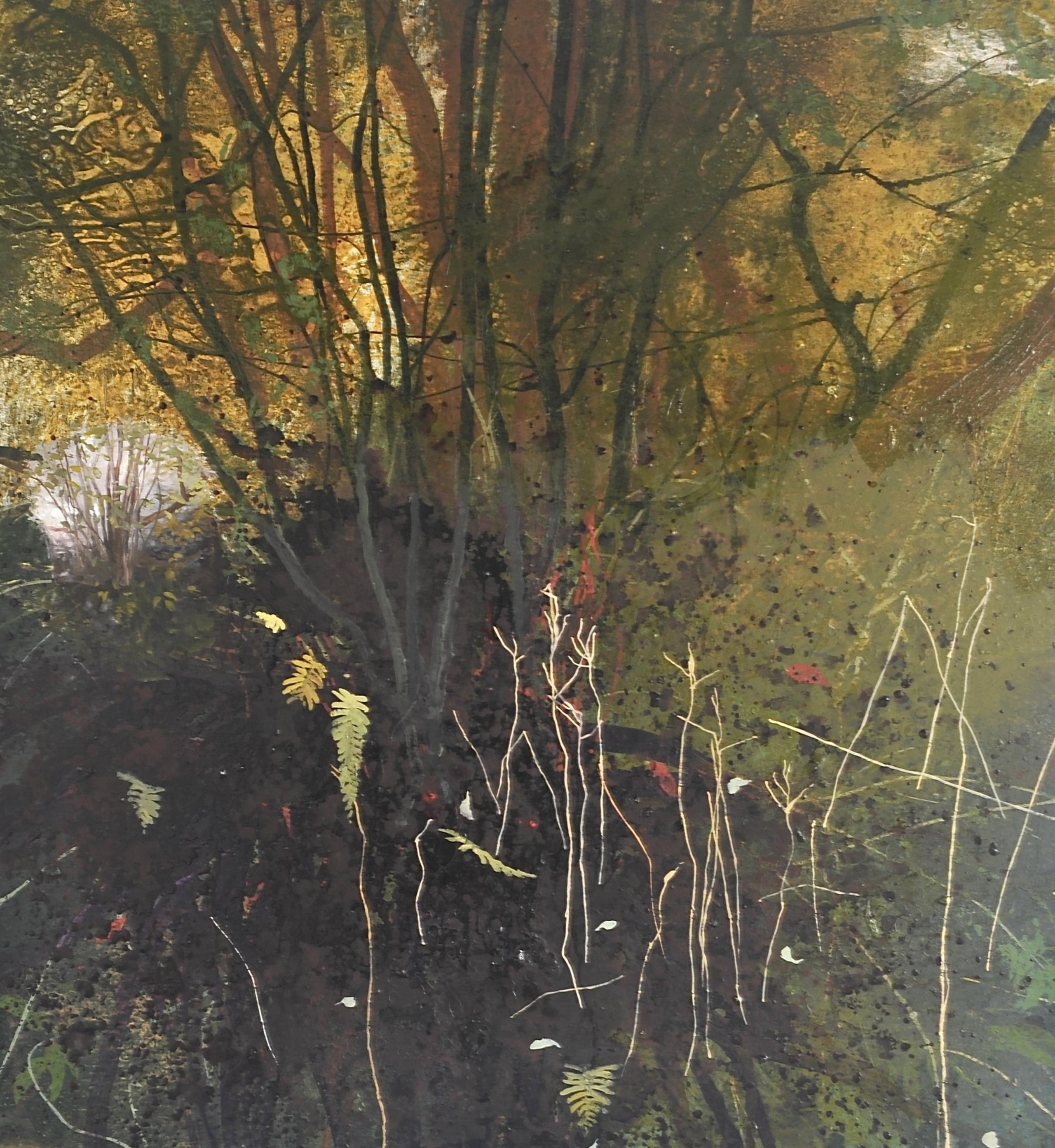 Blackdown Hills exhibition opens at Thelma Hulbert Gallery - BBC News