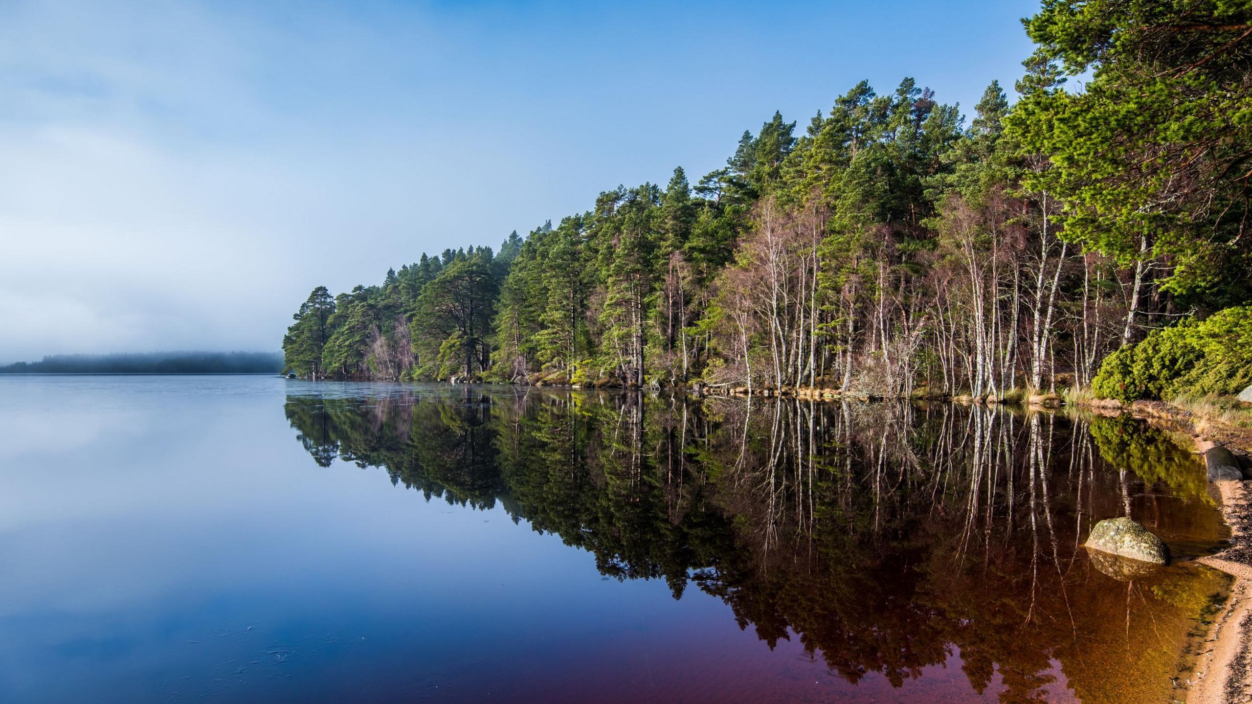 New land added to Loch Garten reserve famous for its ospreys - BBC News