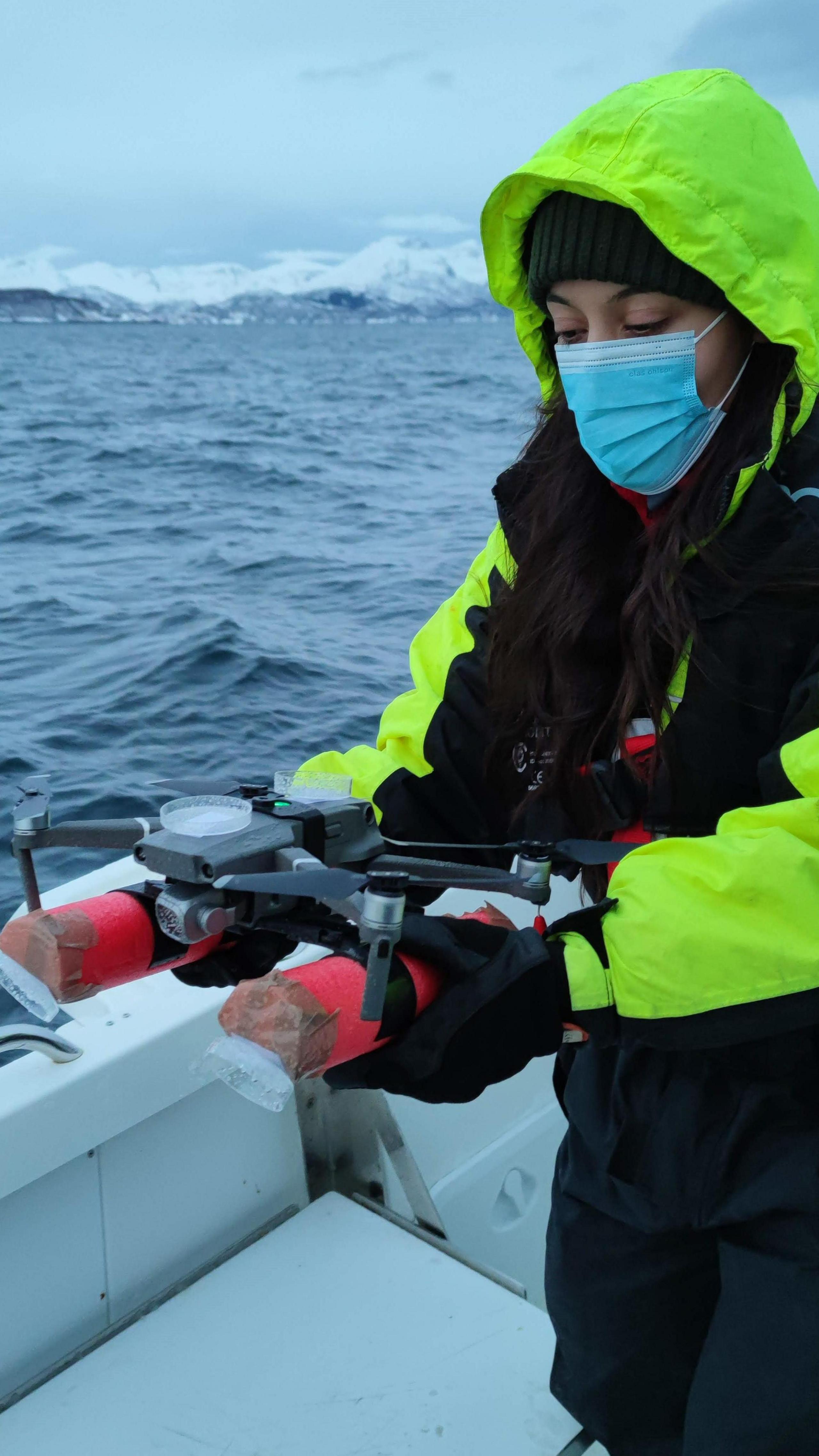 Drones detect deadly virus in Arctic whales' breath - BBC News
