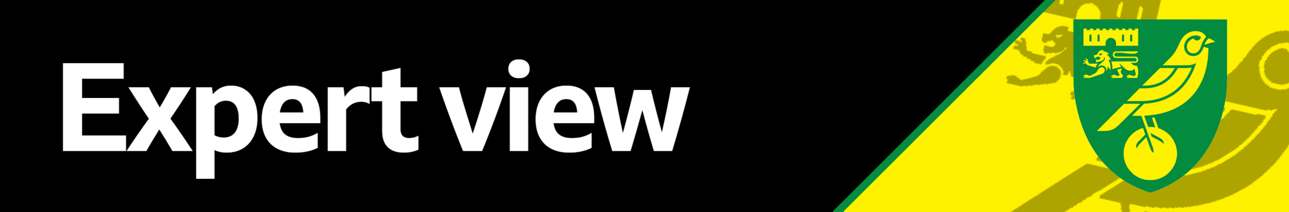 Flo Allen's view on Norwich City 1-1 Bristol City - BBC Sport