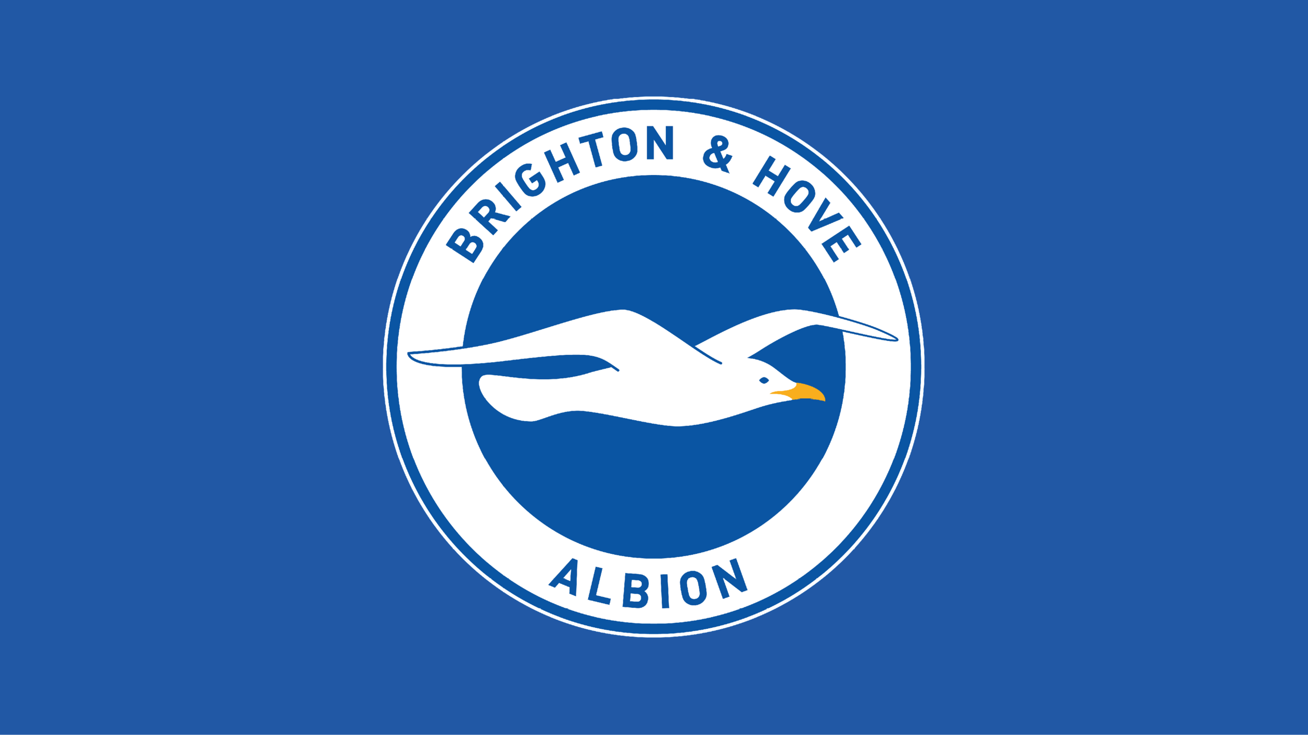 Brighton: Follow Seagulls on BBC Sport - BBC Sport