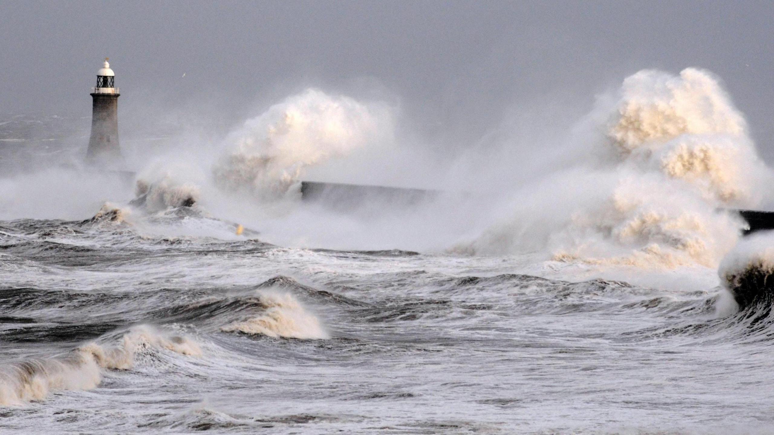 North Tyneside water safety alert issued for coastline - BBC News