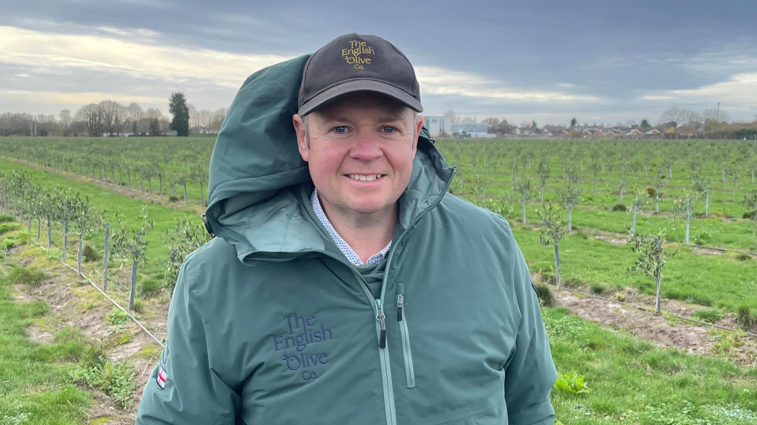 Lincolnshire farm uses climate change to grow olives at Long Sutton ...